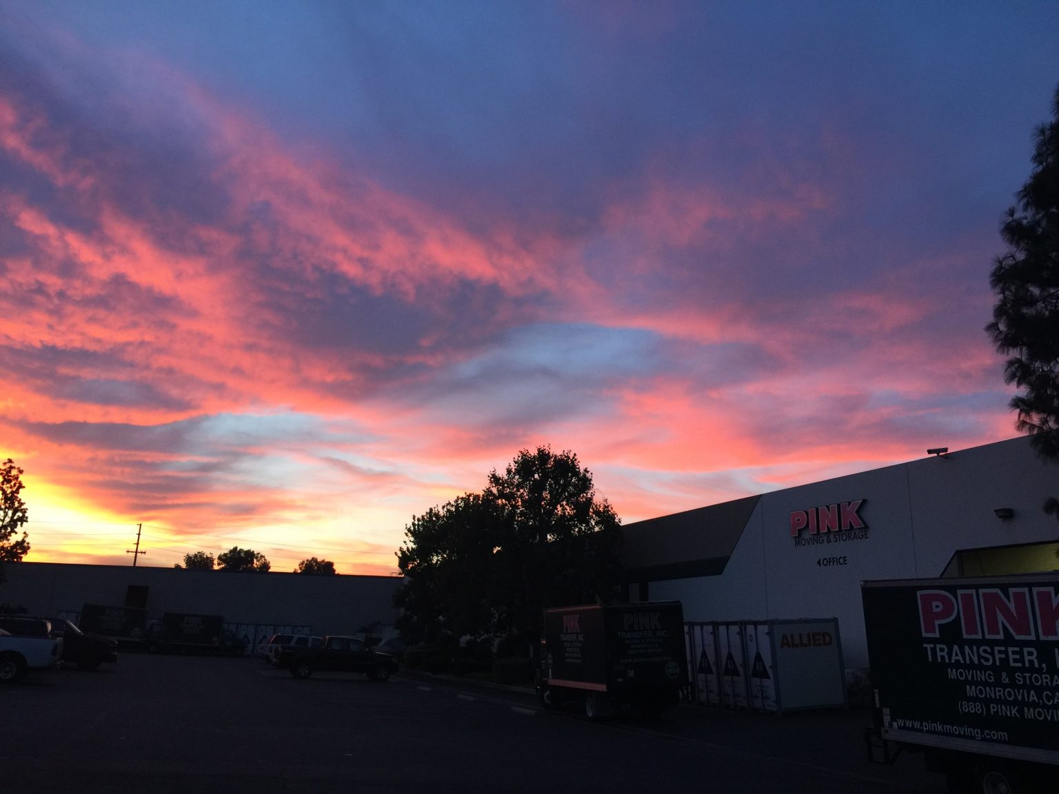 Records Management - Pink Transfer, Inc. Moving & Storage